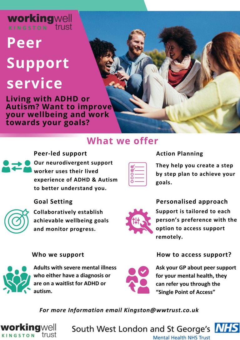 Kingston Peer Support Service - Working Well Trust